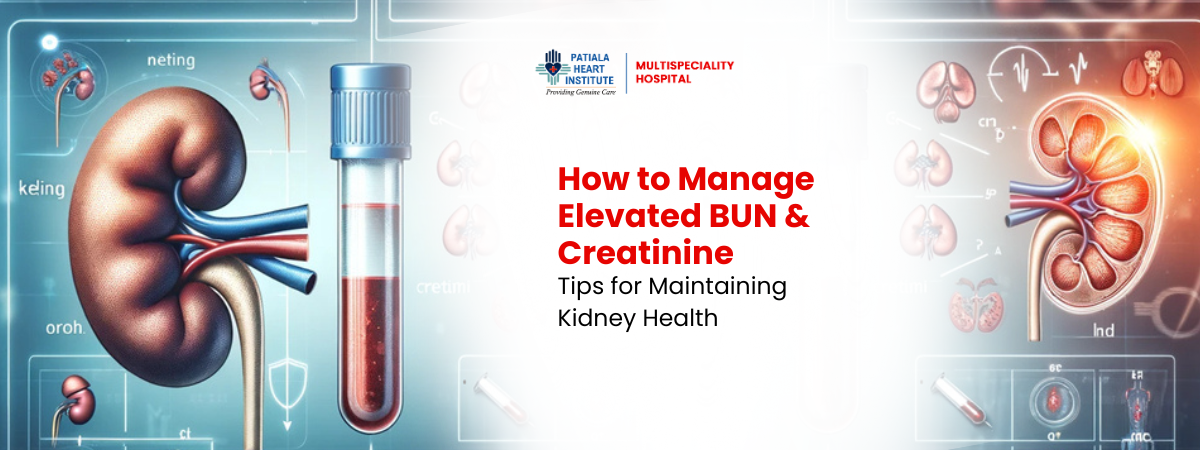 High BUN/Creatinine Ratio: Causes, Symptoms & Treatment